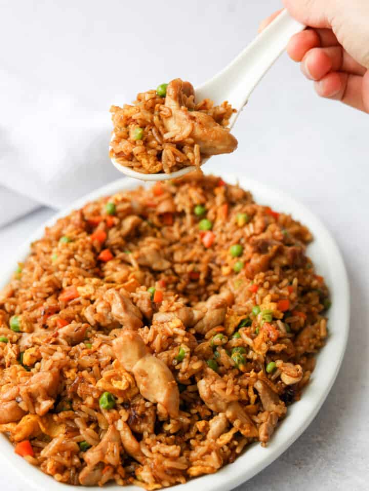 Quick & Easy Chinese Chicken Fried Rice - Christie at Home