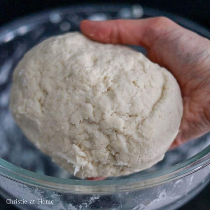 Homemade Pork Chive Dumplings - Christie at Home
