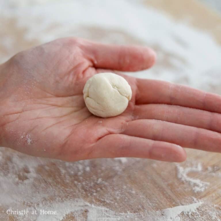 Homemade Pork Chive Dumplings - Christie at Home