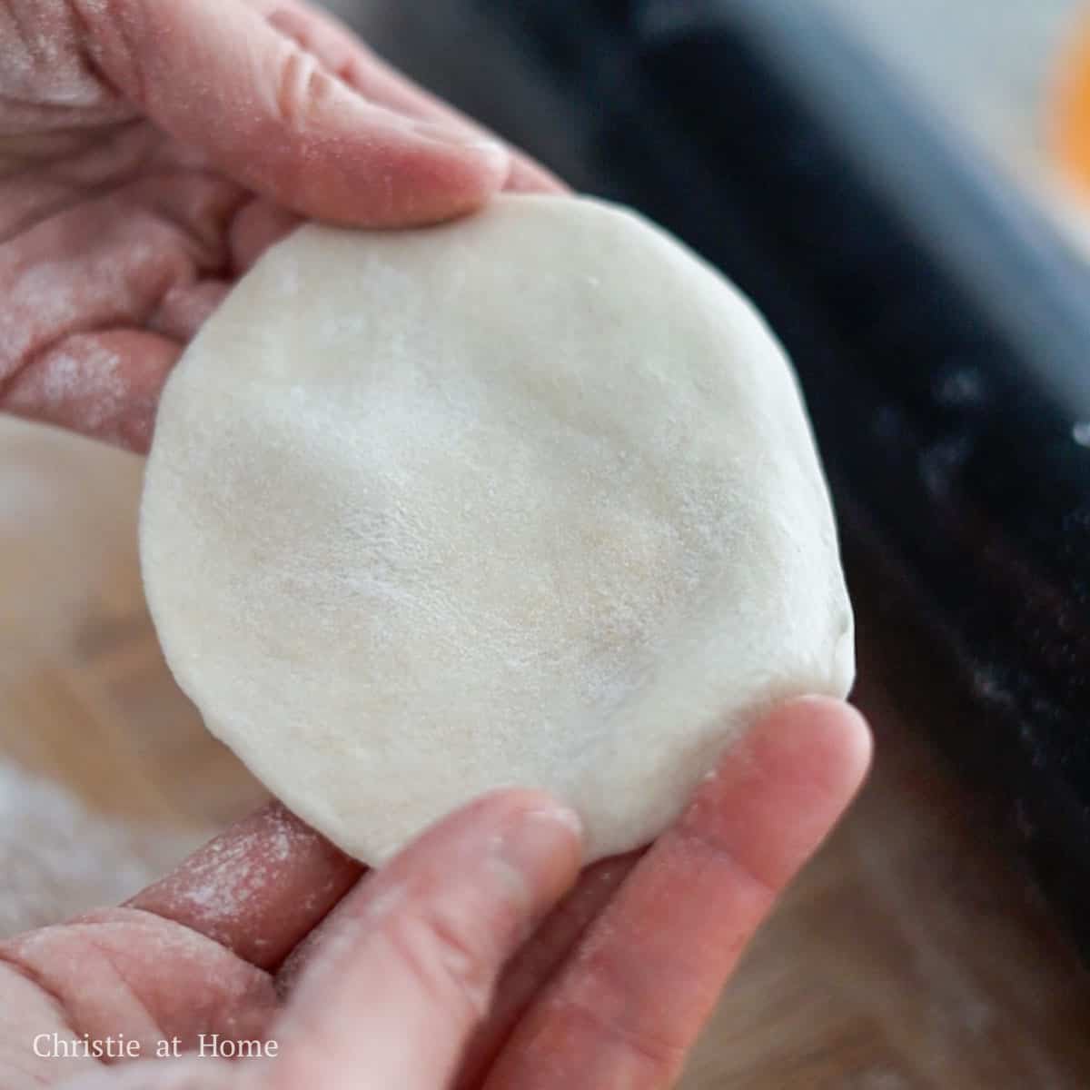 Homemade Pork Chive Dumplings - Christie at Home