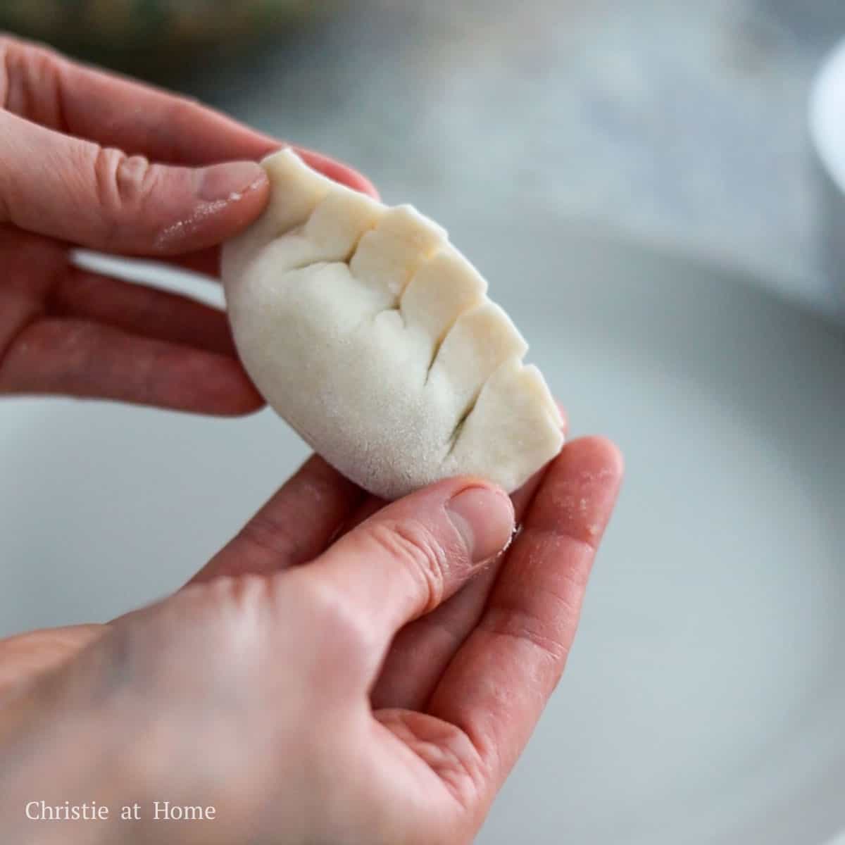 Homemade Pork Chive Dumplings - Christie at Home